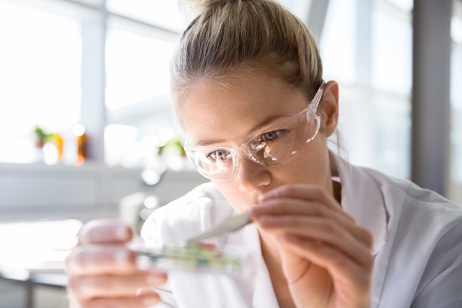 研究助成と社会貢献 - Getinge