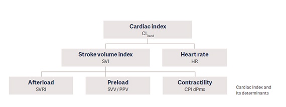 Advanced Monitoring Parameters: CI, SVI - Getinge
