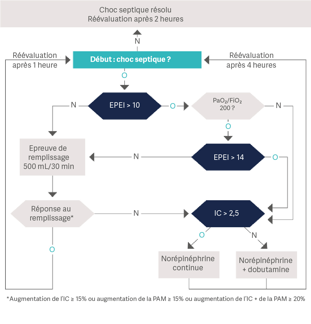 Gestion hémodynamique du choc septique