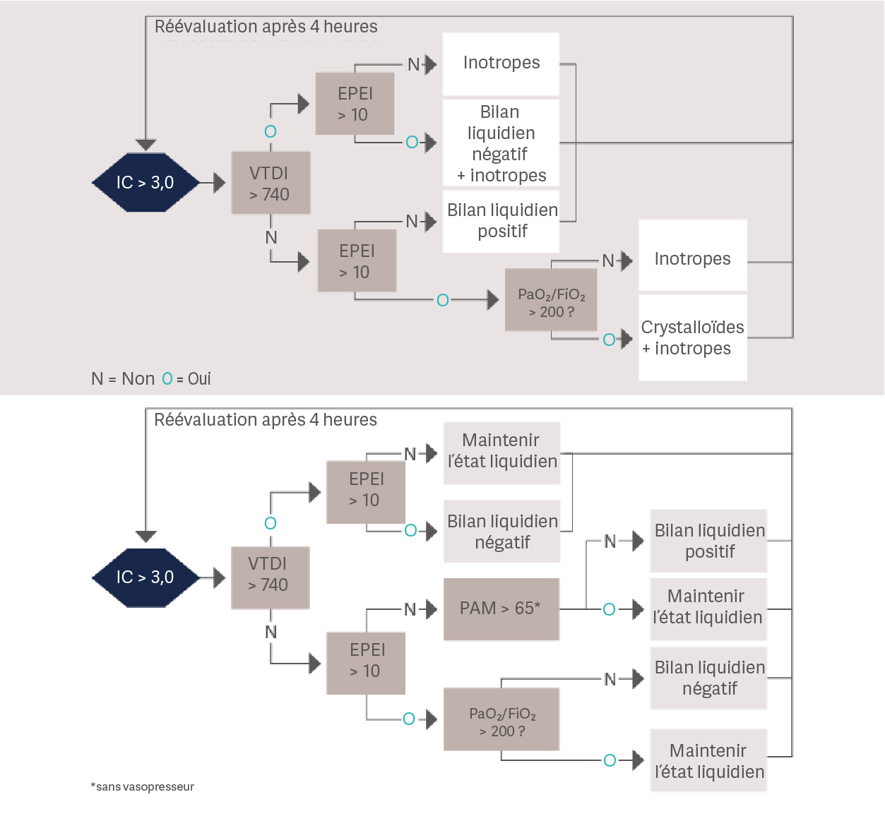 Gestion hémodynamique du choc septique