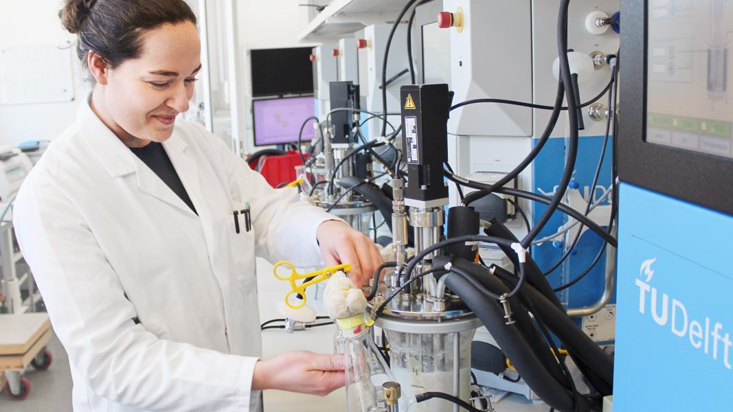 An automated bioreactor solution tailored for the next generation of ...