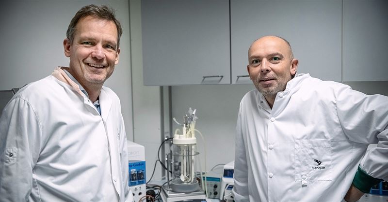 De rol van Sanquin bij het bevorderen van de bloedvoorziening en ...