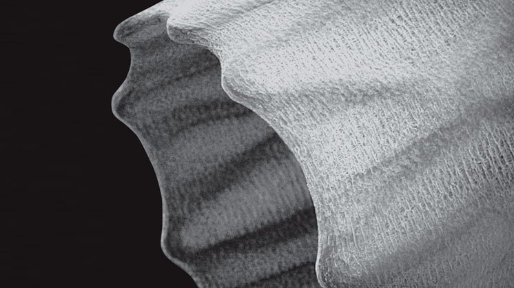 Advanta V12 Balloon Expandable Covered Stent