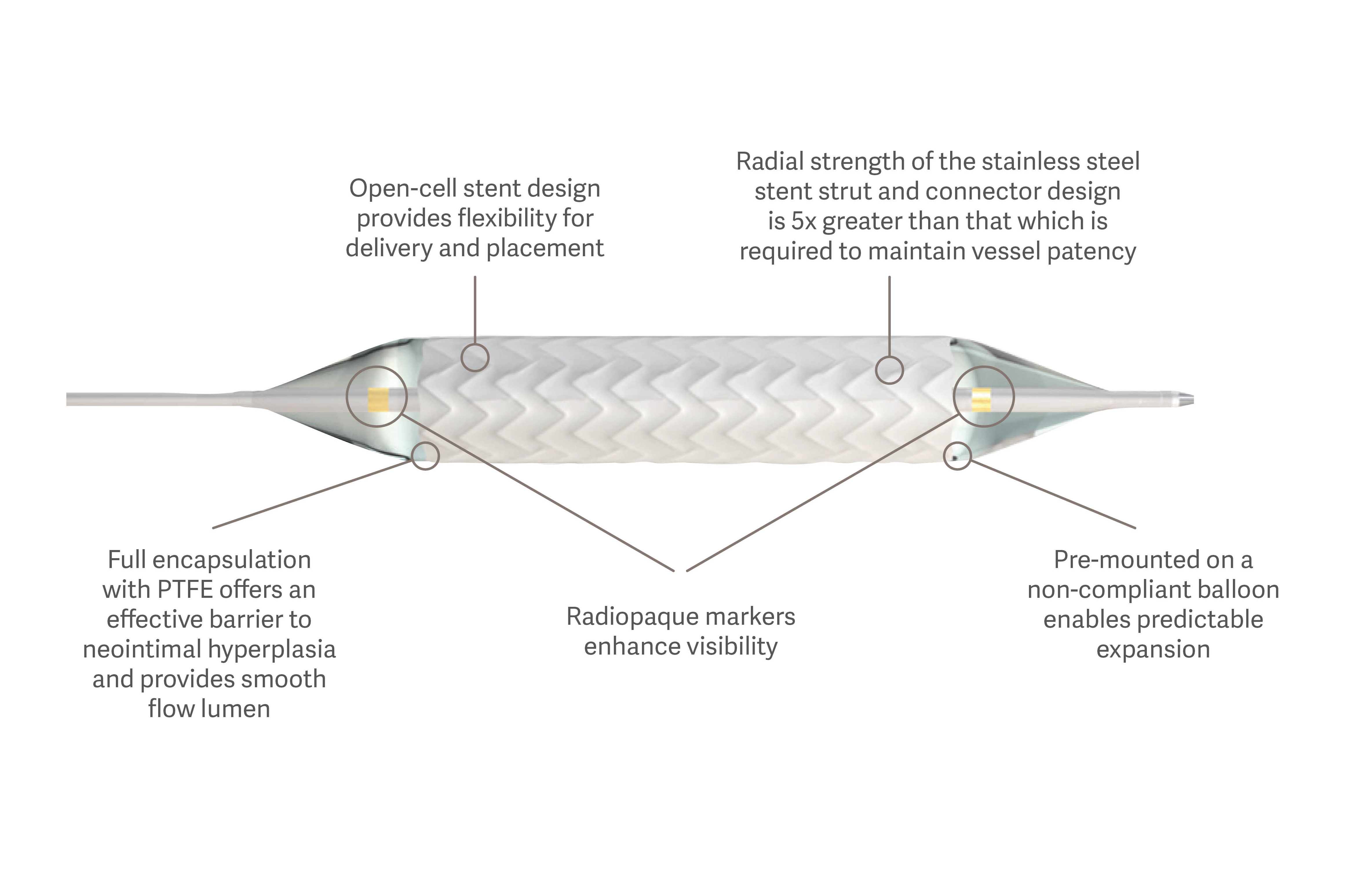Advanta V12 Balloon Expandable Covered Stent