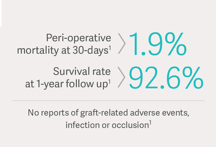 Cardioroot Woven Aortic Graft
