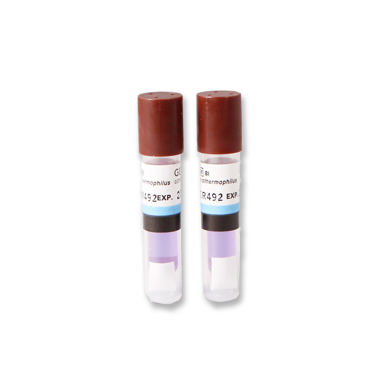 Getinge Assured AccuFast Self-Contained Biological Indicator - Getinge