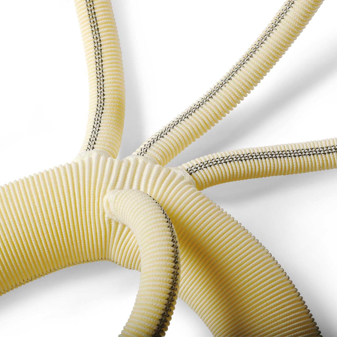 Intergard Woven Aortic Arch and Hemabridge