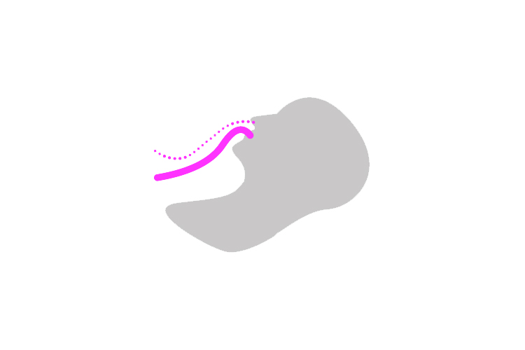 Nava