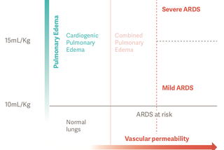 The challenge of ARDS - Getinge