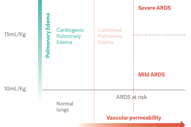 The challenge of ARDS