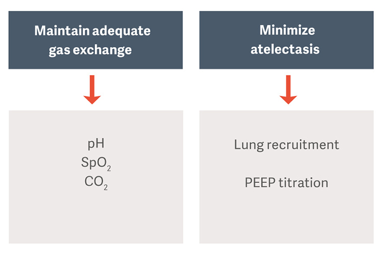 Early Protective Mechanical Ventilation is key to ARDS outcomes