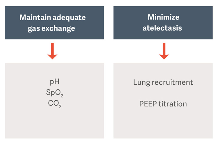 Early Protective Mechanical Ventilation is key to ARDS outcomes - Getinge