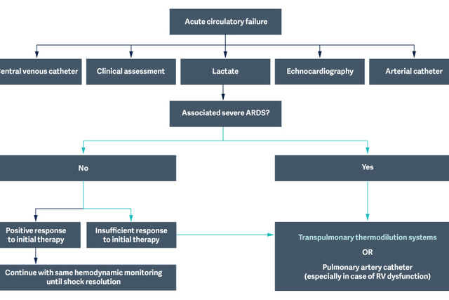 Acute Respiratory Distress Syndrome (ARDS) - Getinge