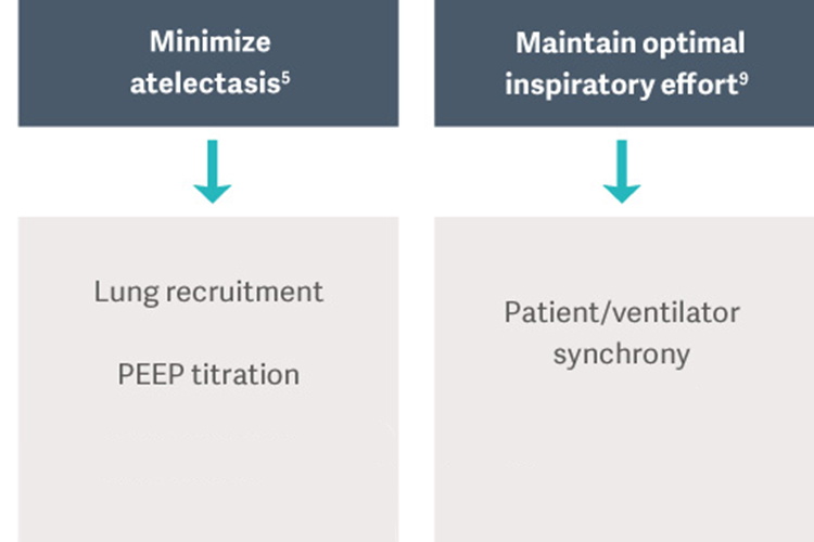 ARDS (acute respiratory distress syndrome)