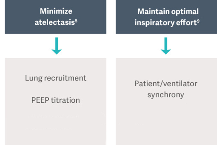 Acute Respiratory Distress Syndrome (ARDS) - Getinge