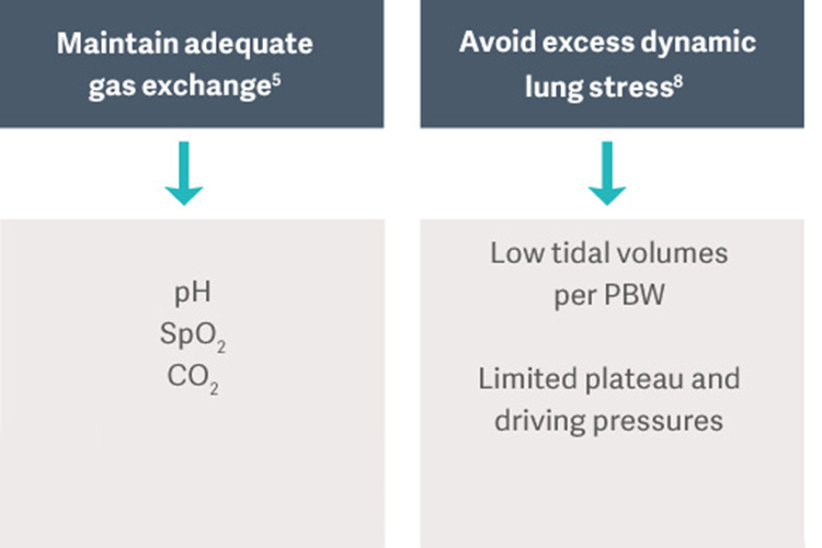ARDS (acute respiratory distress syndrome) - Getinge