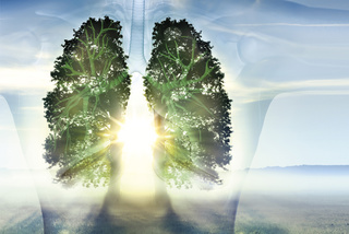 Mechanical ventilation solutions - Getinge