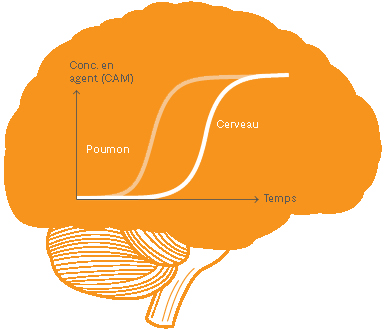 Getinge MAC Cérébrale - Getinge