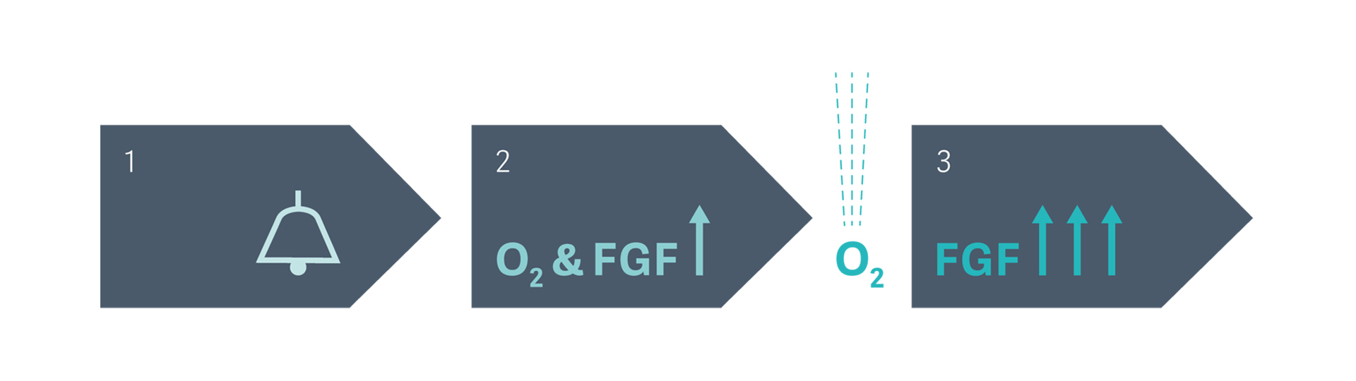 Anesthesia Hypoxia prenvention Getinge O2Guard
